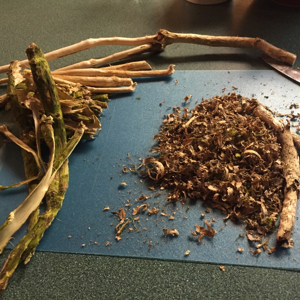 devils club salve – Welcome to the life of Sew Yupik